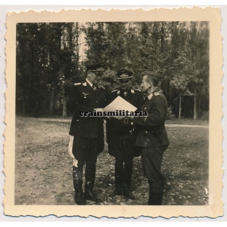 Crain's Militaria - Photos