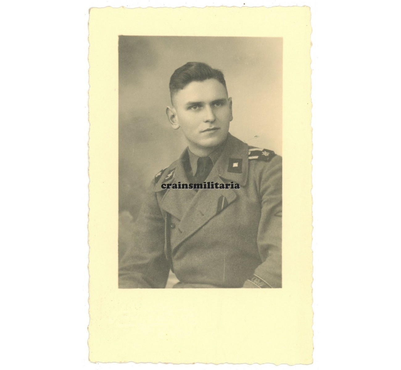 Crain's Militaria - LSSAH Leibstandarte StuG portrait in France