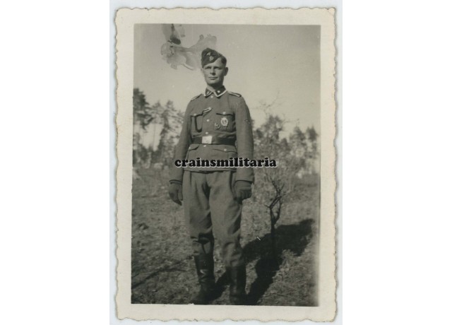 Crain's Militaria - SS Unterscharführer with awards